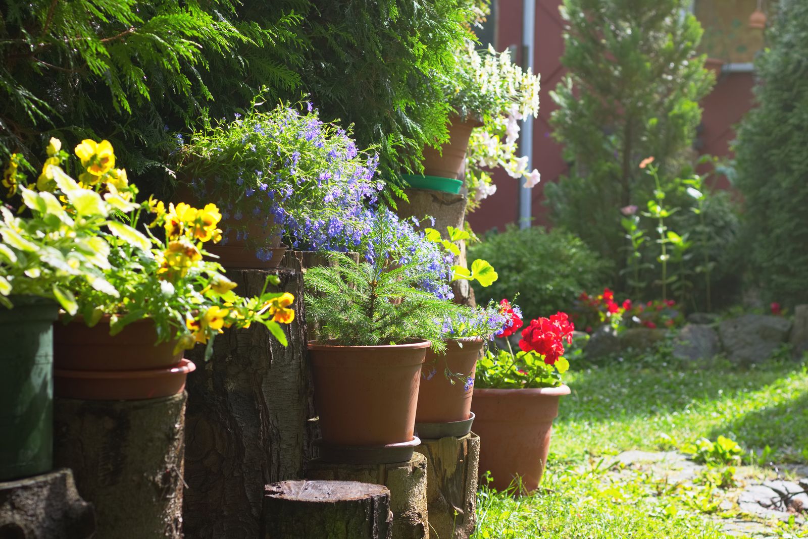 Should you use sponges at the bottom of your potted plants? | Livingetc