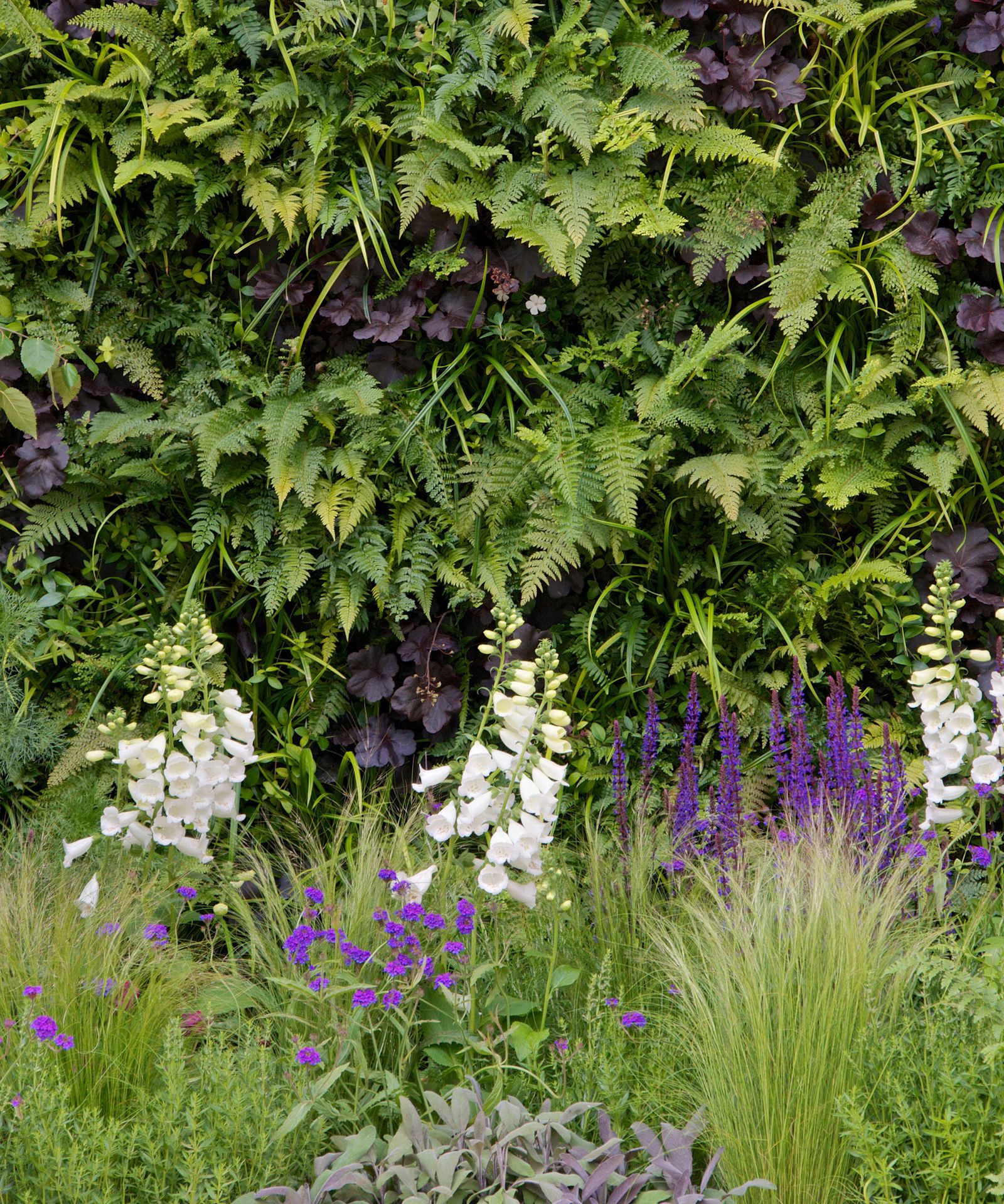 How to create backyard privacy without blocking light | Homes and Gardens