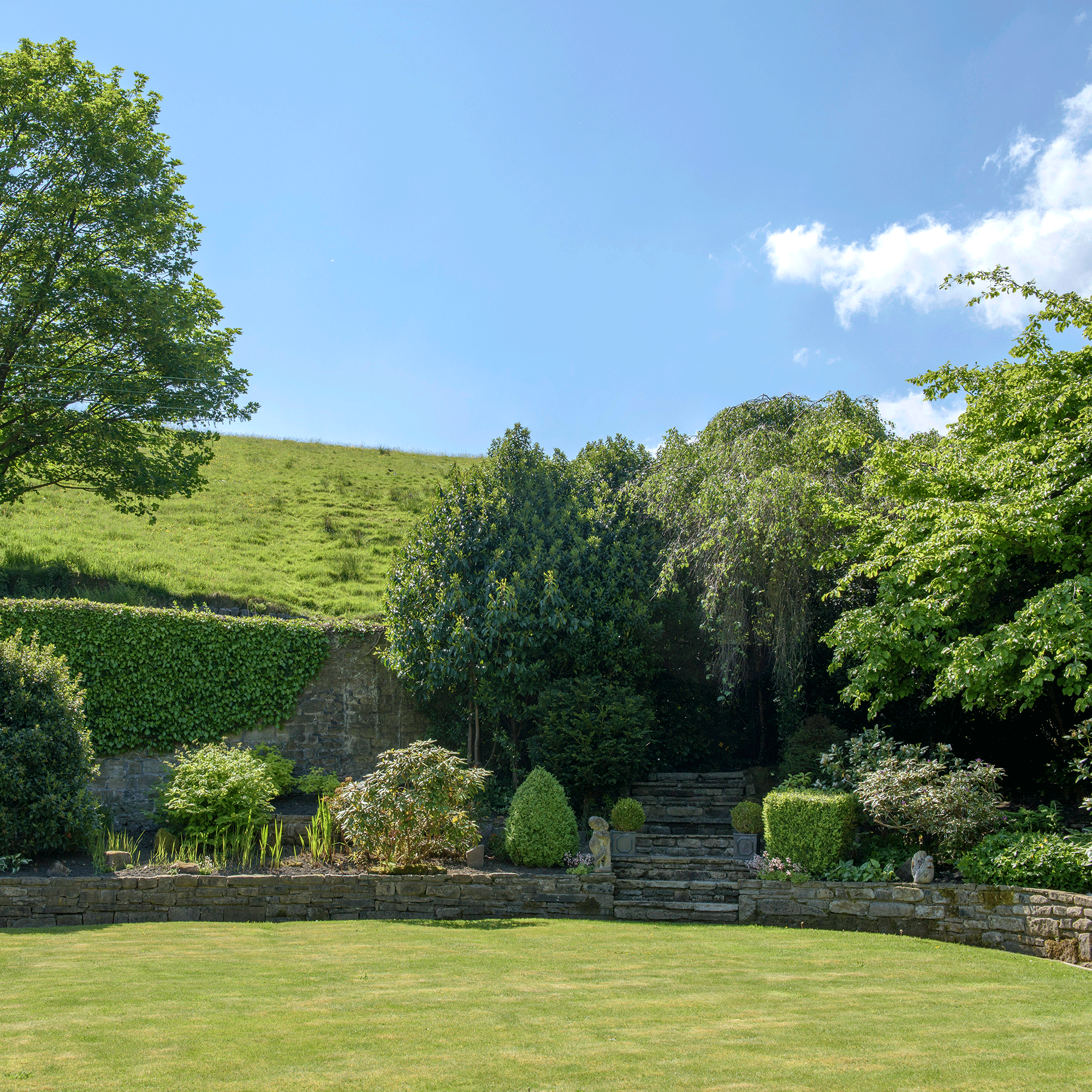 How to trim a box hedge – a step-by-step guide | Ideal Home