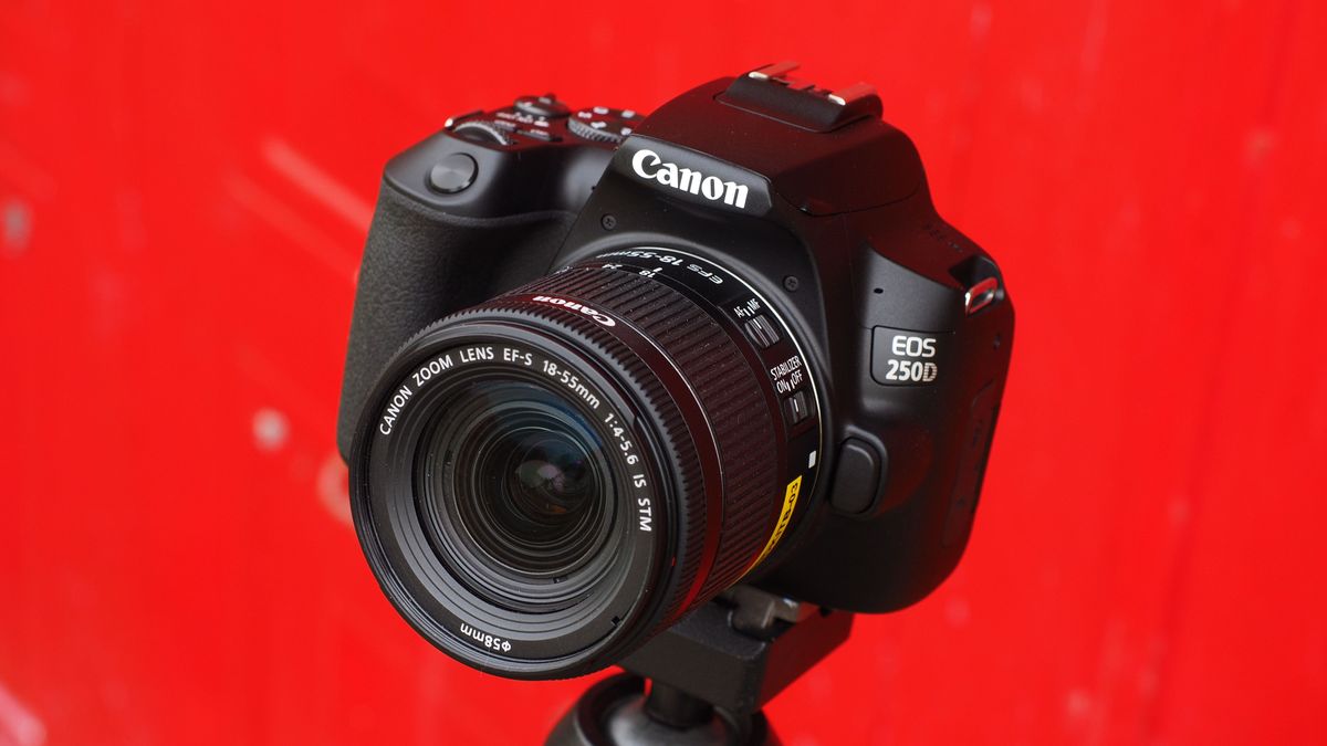 Canon EOS 250D review | Digital Camera World