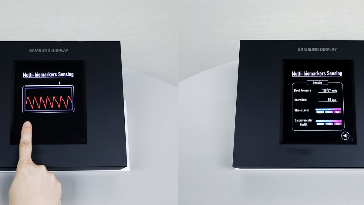 Samsung Display previews rollable screens and OLEDs that take your ...