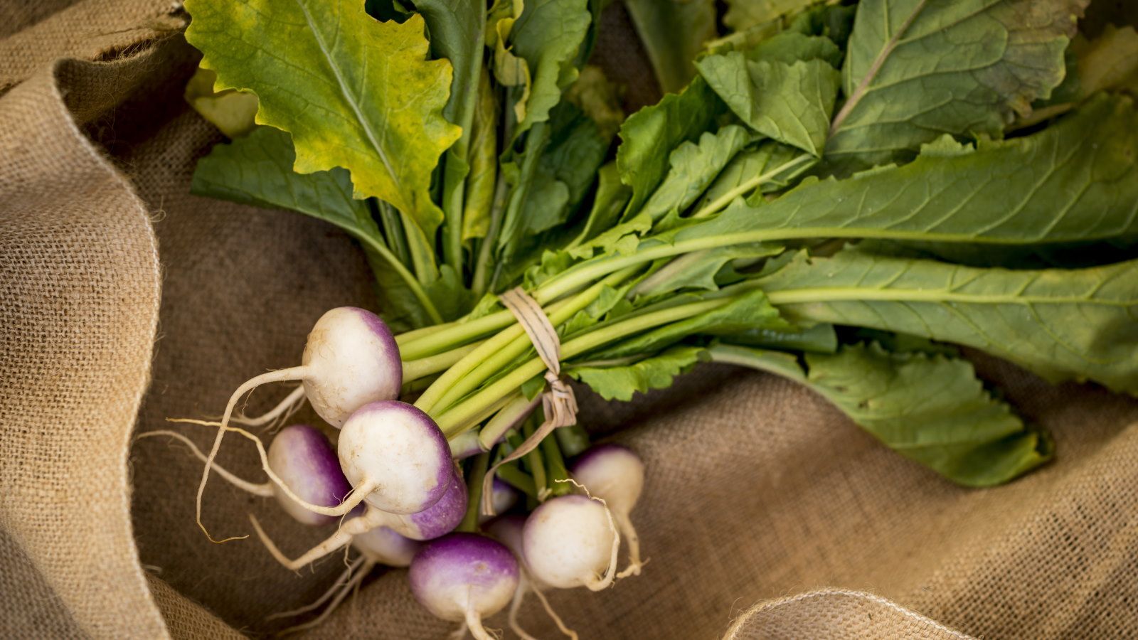 How to grow turnips from scraps in 5 quick and easy steps | Homes and ...