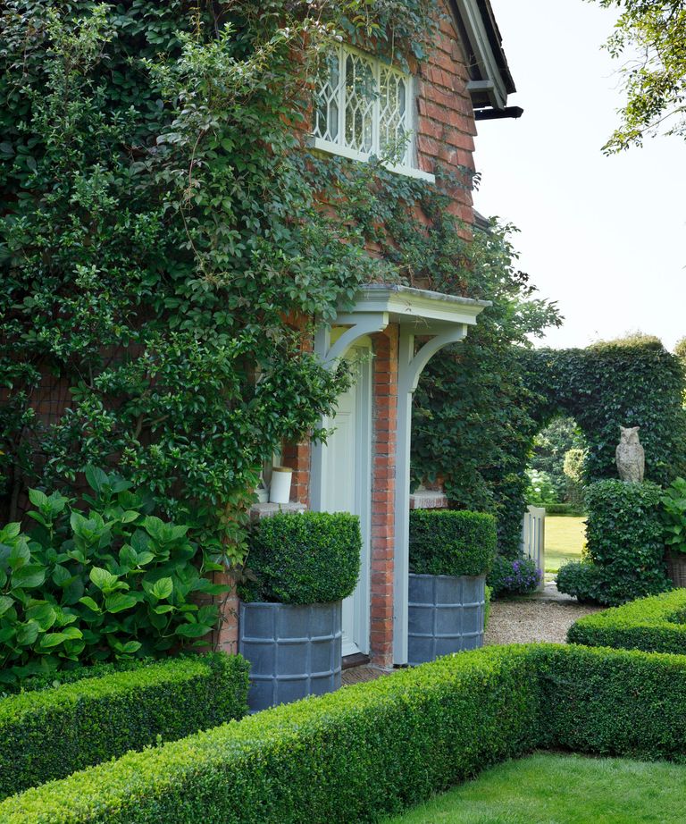 Landscaping with evergreens: 12 ways to make an impact | Gardeningetc