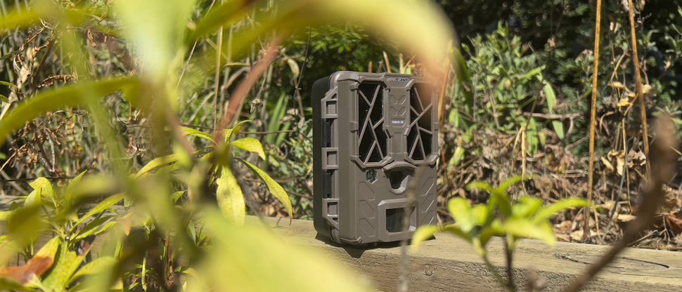 Spypoint Force-20 trail camera review | Digital Camera World