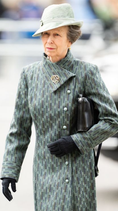 Princess Anne was ‘ahead of her time’ with her life-long love for ...