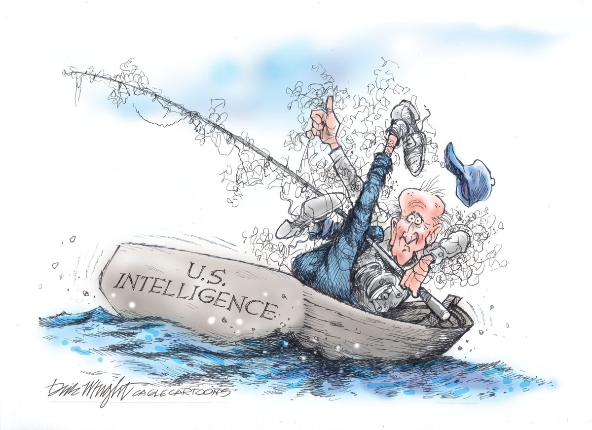 US intelligence | The Week