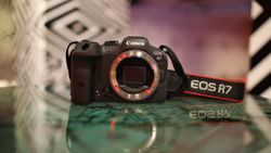 Understanding your Canon EOS R-series cameras’ crop mode | Digital ...