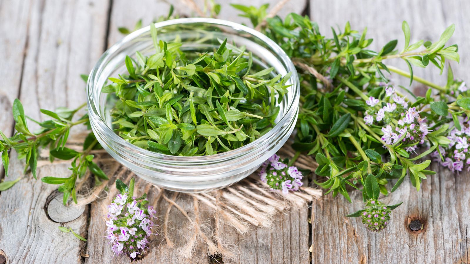 Winter Savory: The Herb That Adds Amazing Flavor in Winter | Gardening ...