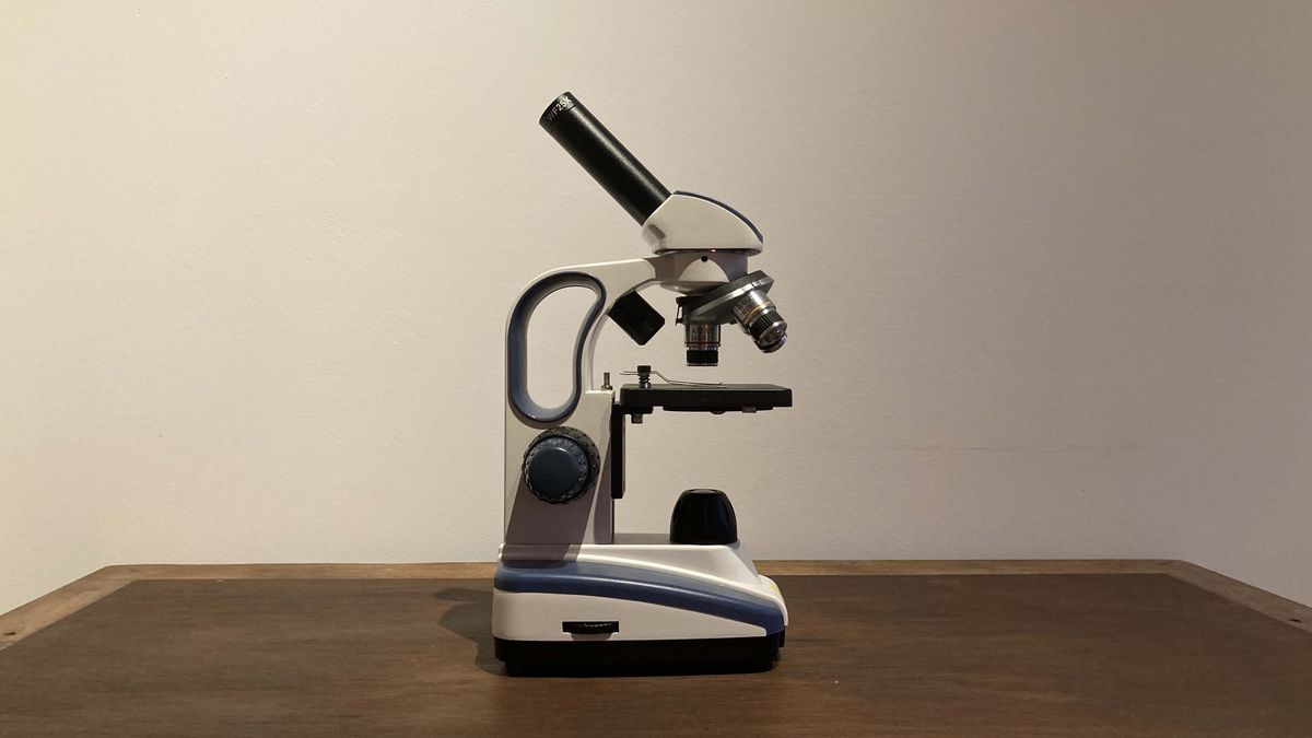 Swift SW200DL Compound Monocular Microscope Review | Live Science