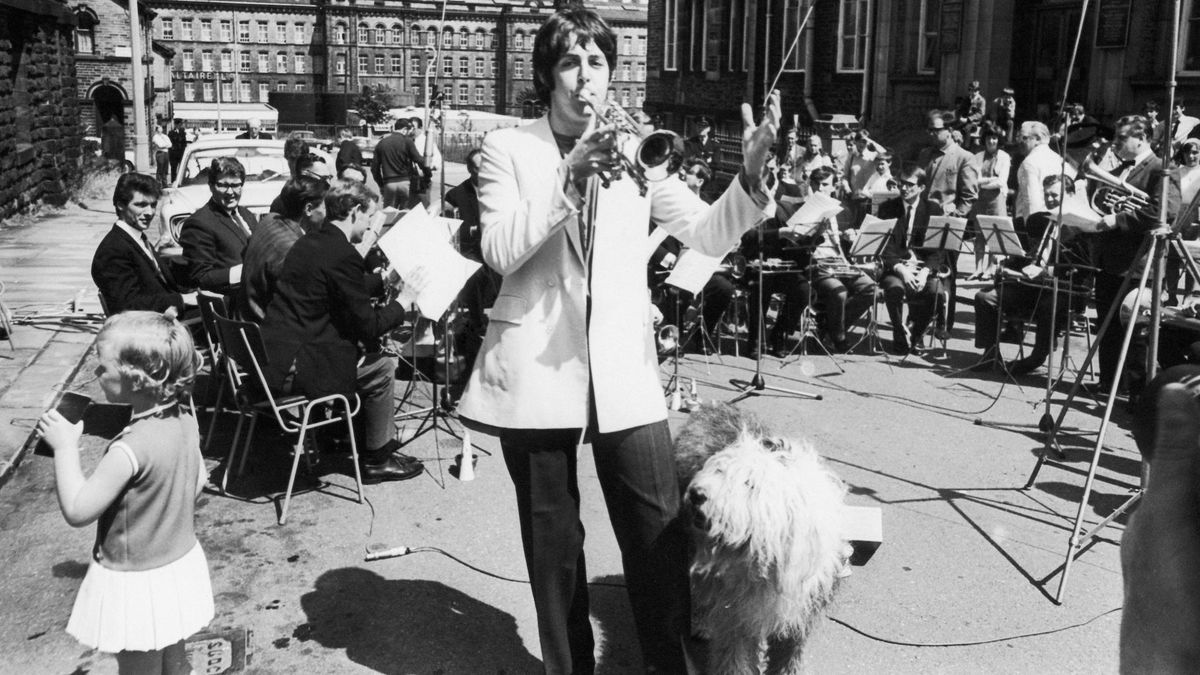32 of the most famous dogs | PetsRadar