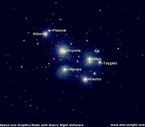 Pleiades: The Seven Sisters Star Cluster | Space
