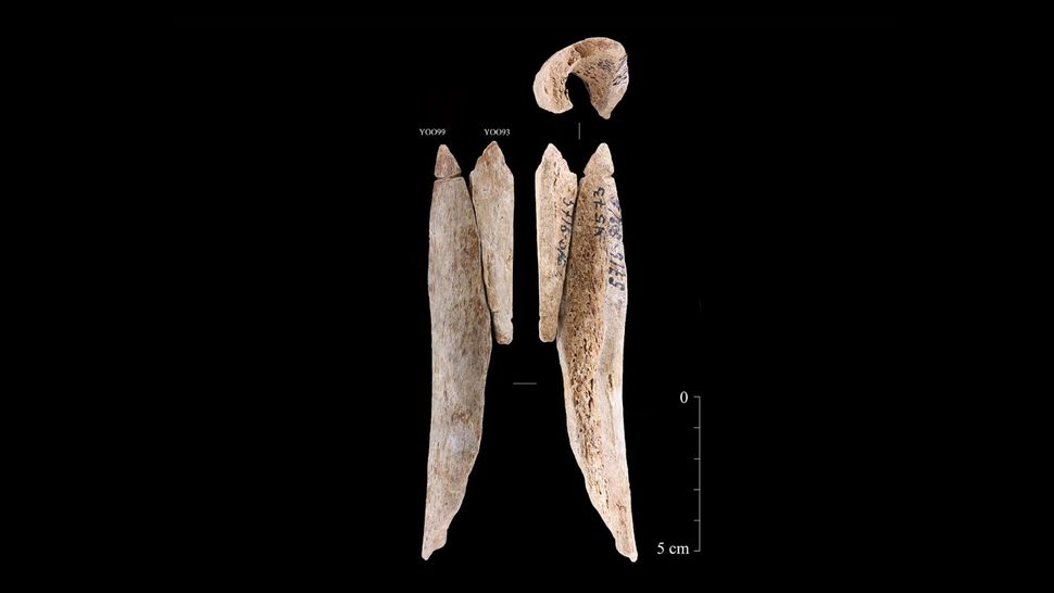 8,200-year-old burials in Russia contain pendants crafted from human ...