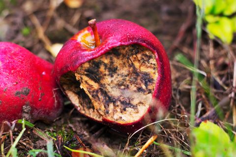 Apple Has a Major Quality Control Problem | Tom's Guide