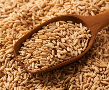 What are rice hulls for gardening and how to use them | Homes and Gardens