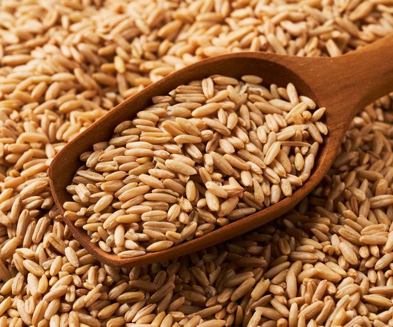 What are rice hulls for gardening and how to use them | Homes and Gardens