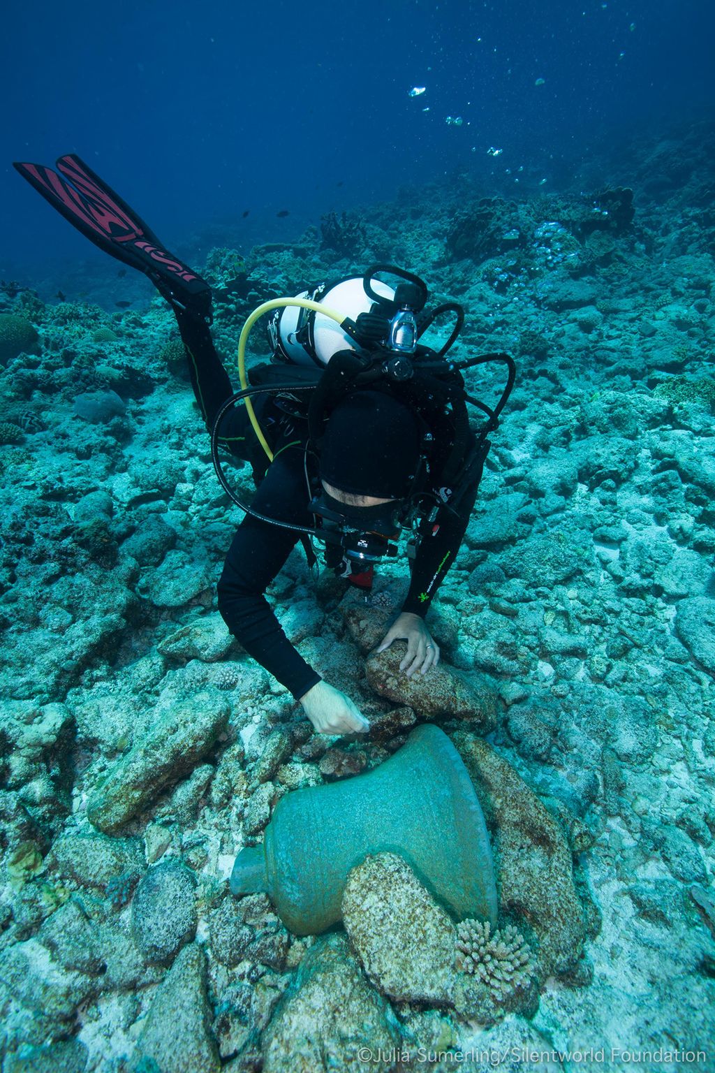 Photos: Notoriously Dangerous Ocean Reef Holds Shipwreck Secrets | Live ...