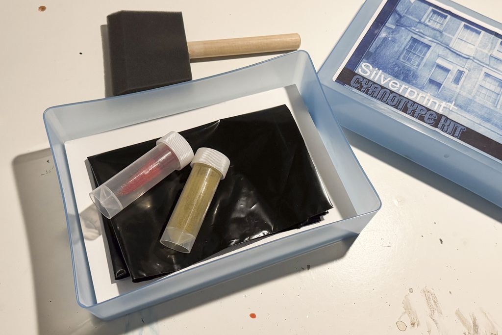 Craft your own cyanotypes at home with this quick and easy setup ...