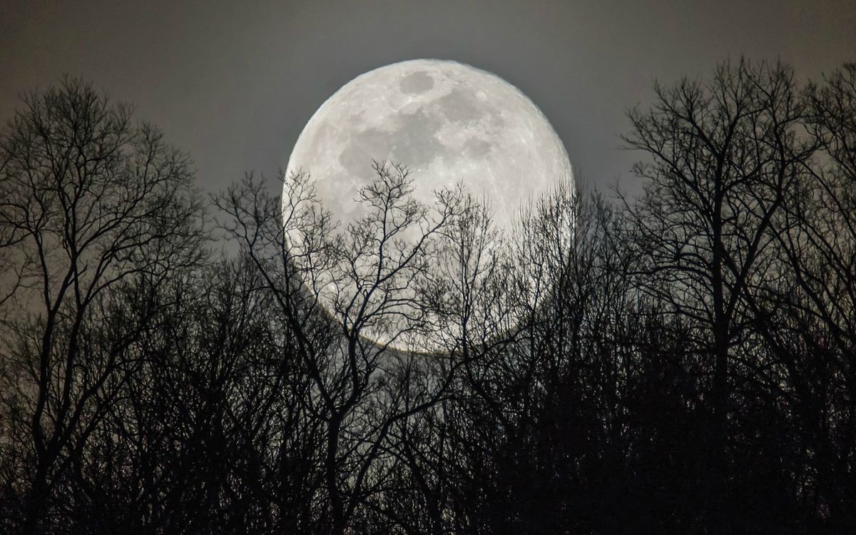 In Photos: The Last 'Blue Moon' of 2018 | Space