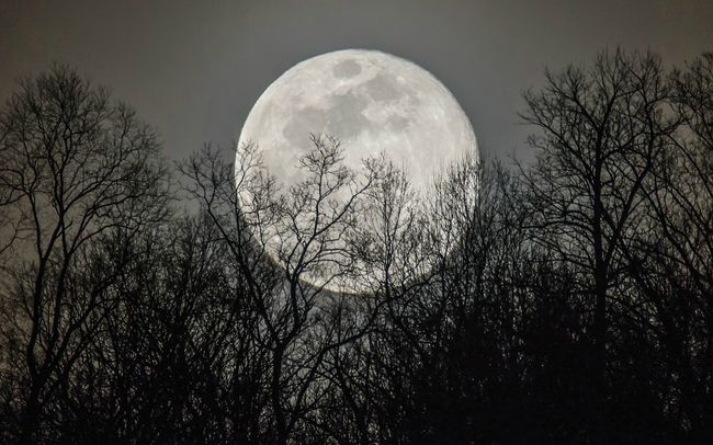 In Photos: The Last 'Blue Moon' of 2018 | Space