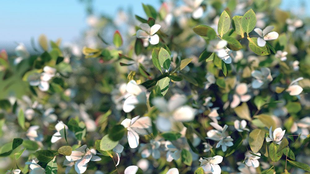 Review: SpeedTree Cinema 8 | Creative Bloq