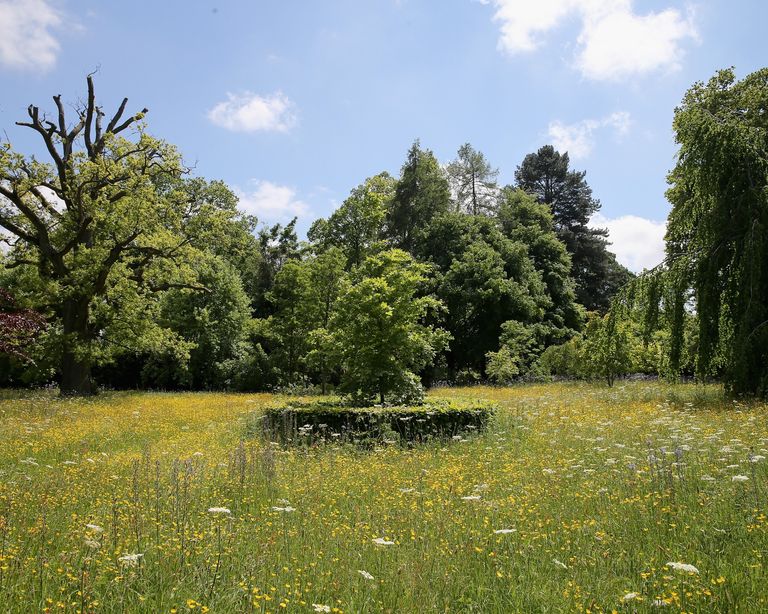 Revealed: King Charles III's retreat at Highgrove | Homes and Gardens