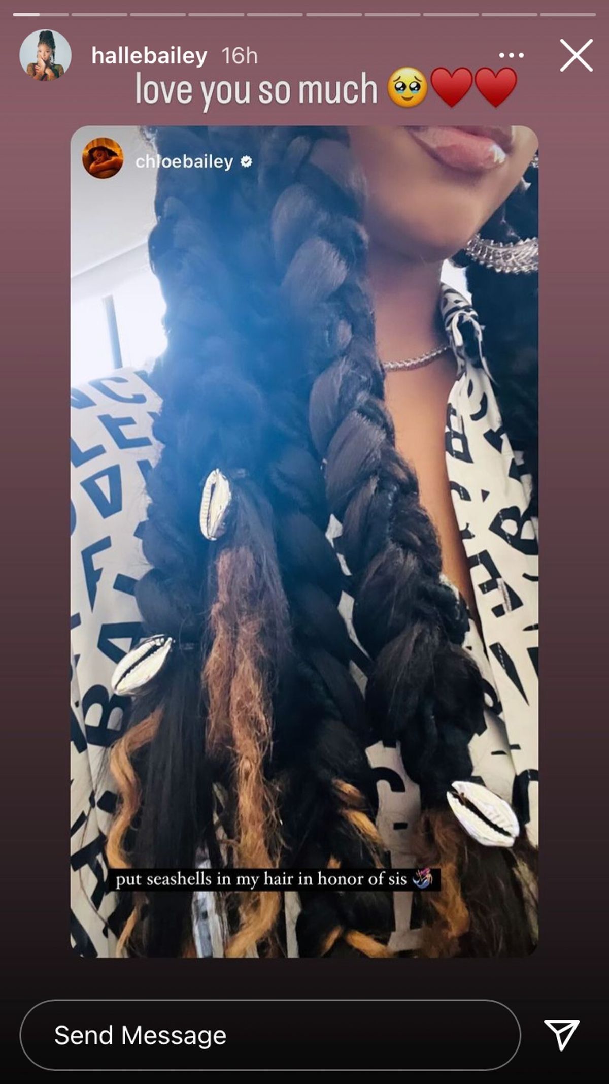 The Sweet Way Chloe Bailey Celebrated Halle Bailey After The First ...