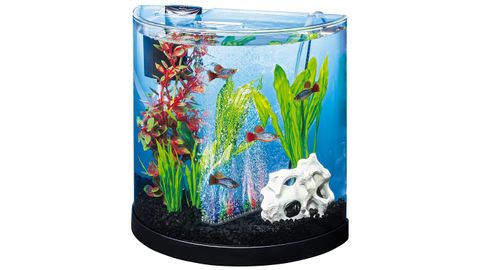 Best fish tank: Stylish abodes for your aquatic amigos | PetsRadar