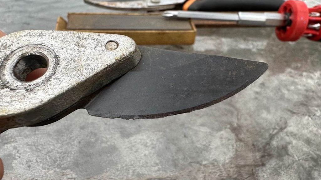 How to sharpen pruning shears in 7 simple steps | Tom's Guide