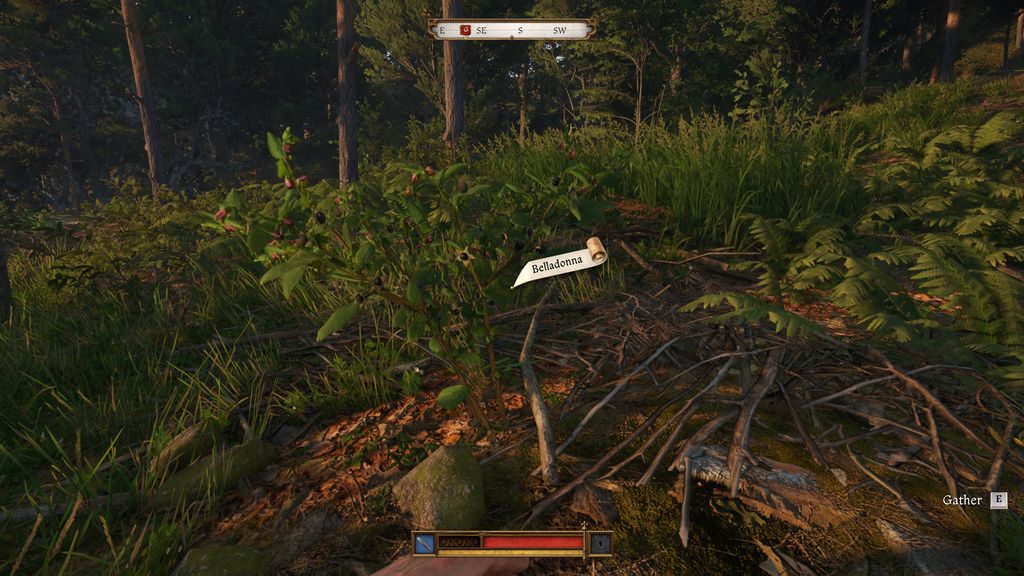 How to get Saviour Schnapps in Kingdom Come: Deliverance 2 | PC Gamer