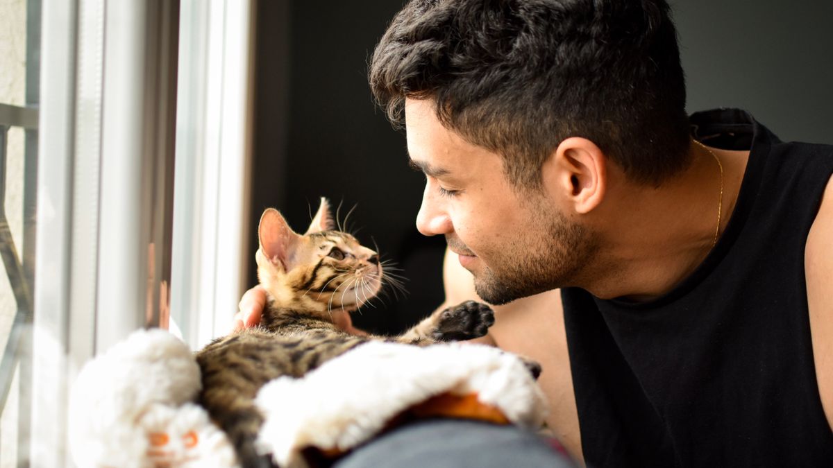 Here’s how to socialize a kitten (and why it’s so important) | PetsRadar