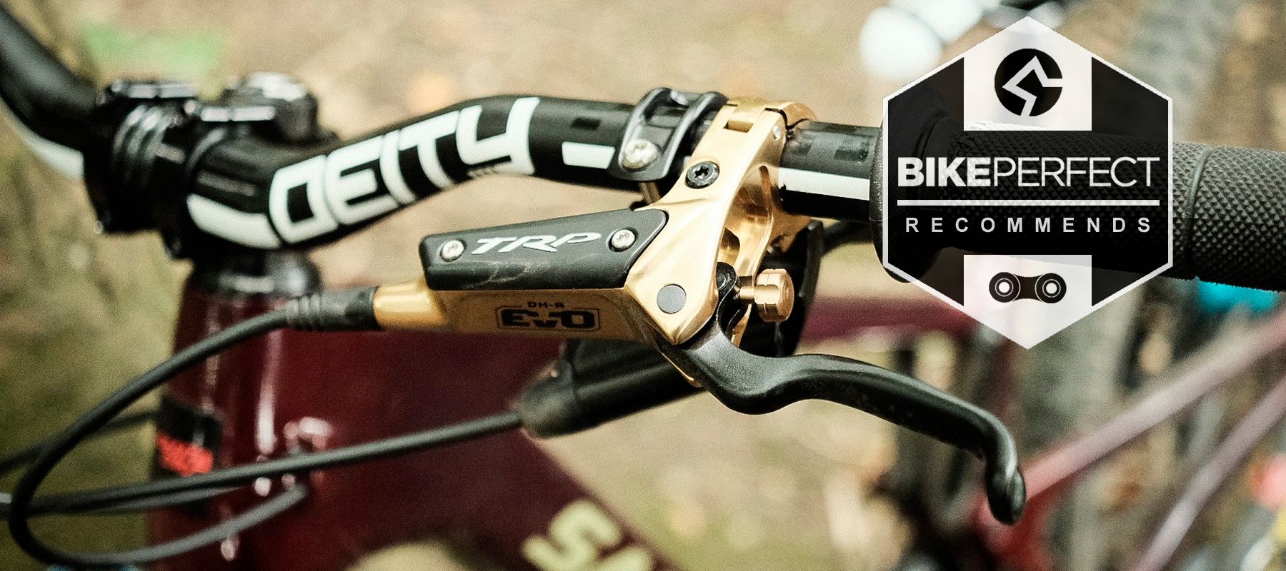 TRP DH-R Evo brake review – big power that’s good enough for Aaron Gwin ...