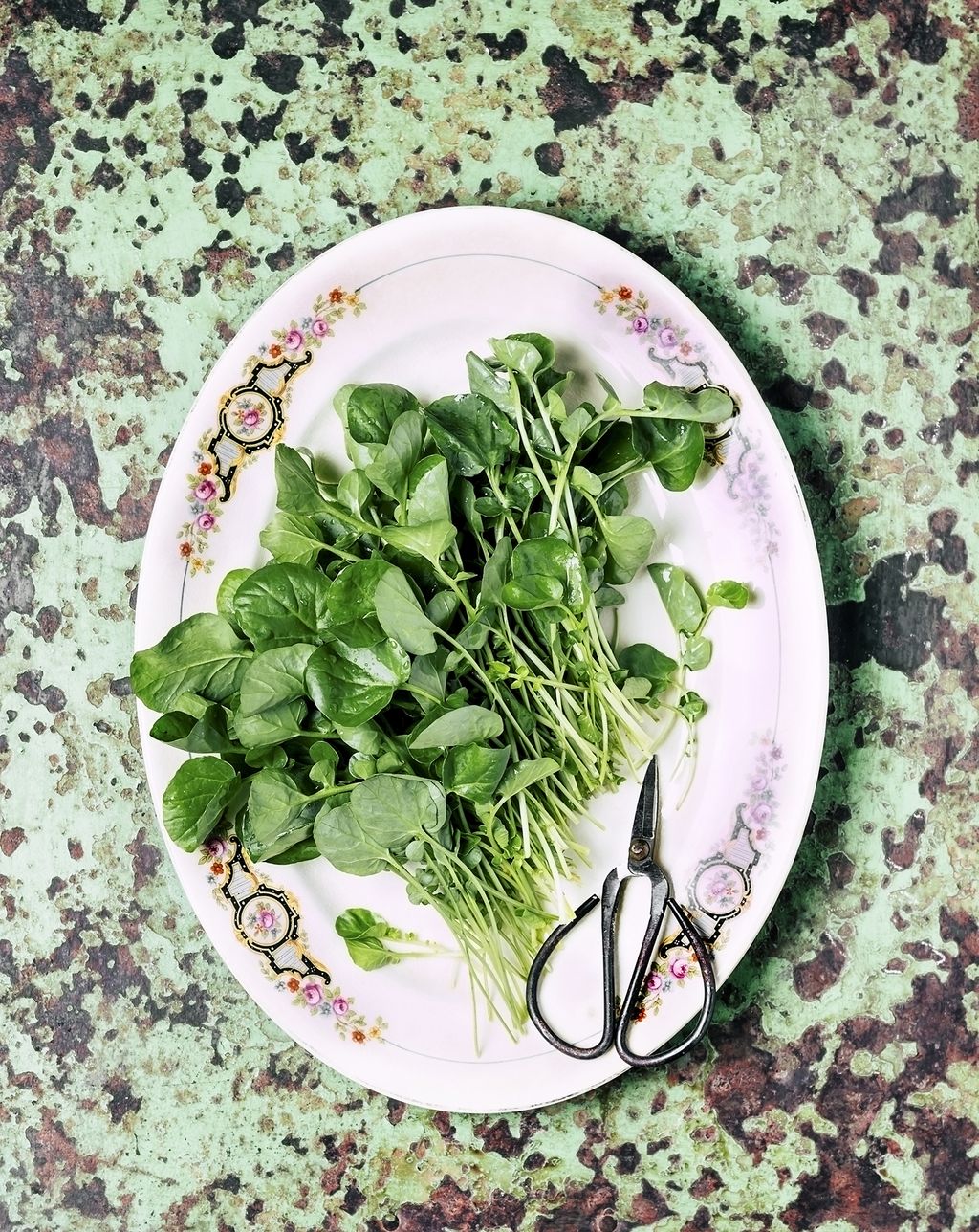 how to grow watercress at home | Homes and Gardens