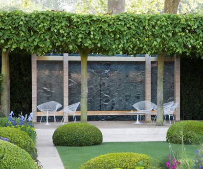 Best hedging plants: 10 choices for beautiful boundaries | Homes and ...
