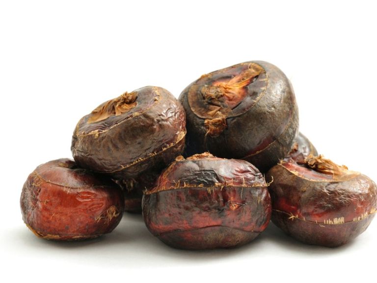 What Is A Water Chestnut: Information About Growing Water Chestnuts ...