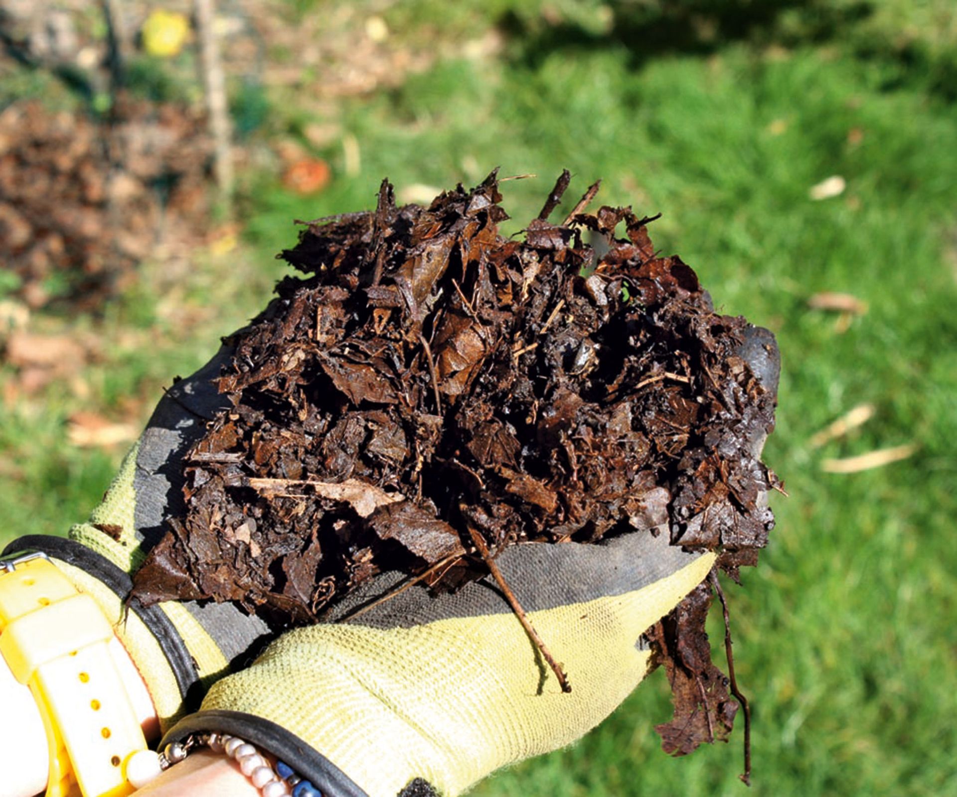 How to make plant fertilizer: 7 natural methods to try | Homes and Gardens