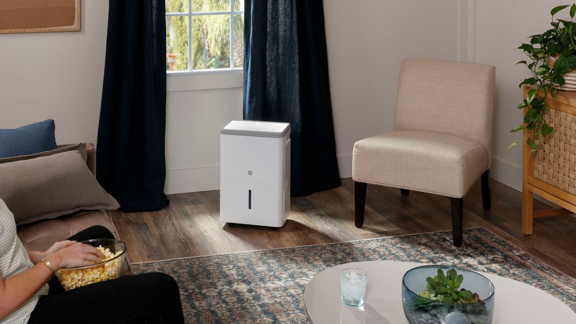 How much does it cost to run a dehumidifier? Experts explain | Livingetc