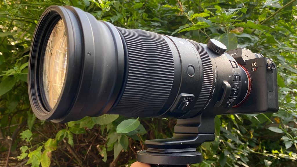 The best lenses for safari photography: get close to wildlife while maintaining a respectful ...