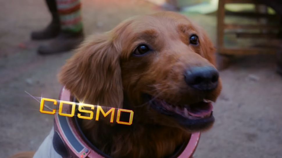 Who is Cosmo the Spacedog? All you need to know about 'Guardians of the ...