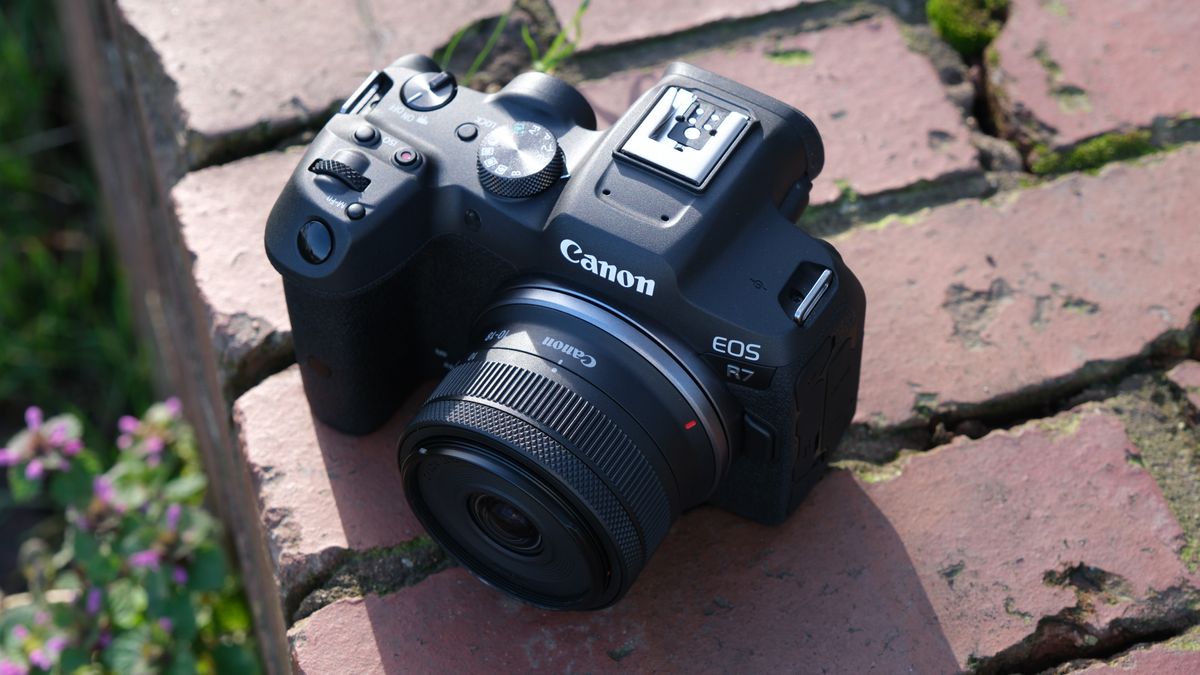 Canon RF-S 10-18mm f/4.5-6.3 IS STM review: the APS-C lens we've waited ...