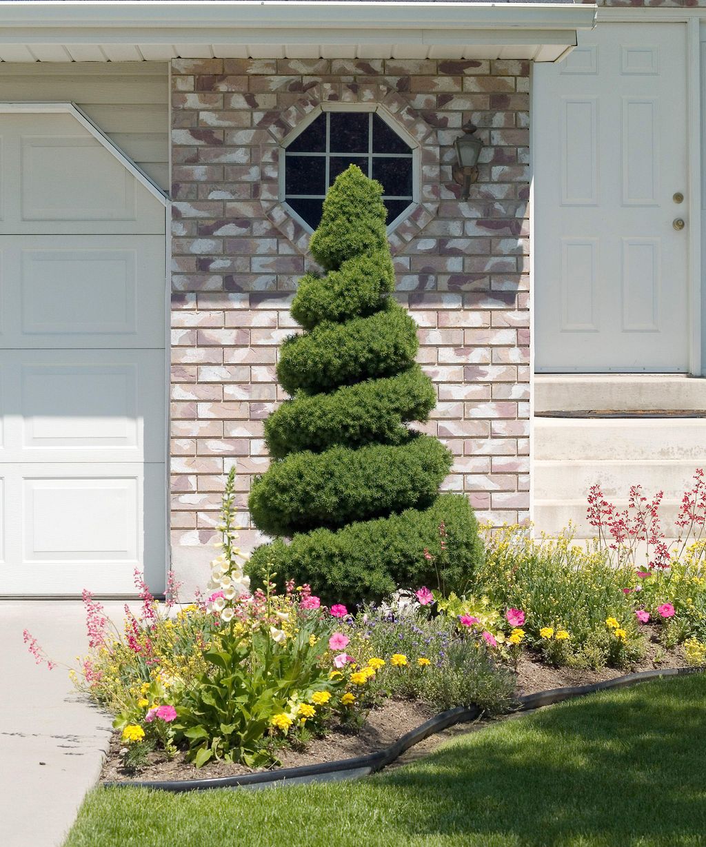 Topiary: a practical guide to this must-have garden trend | Gardeningetc