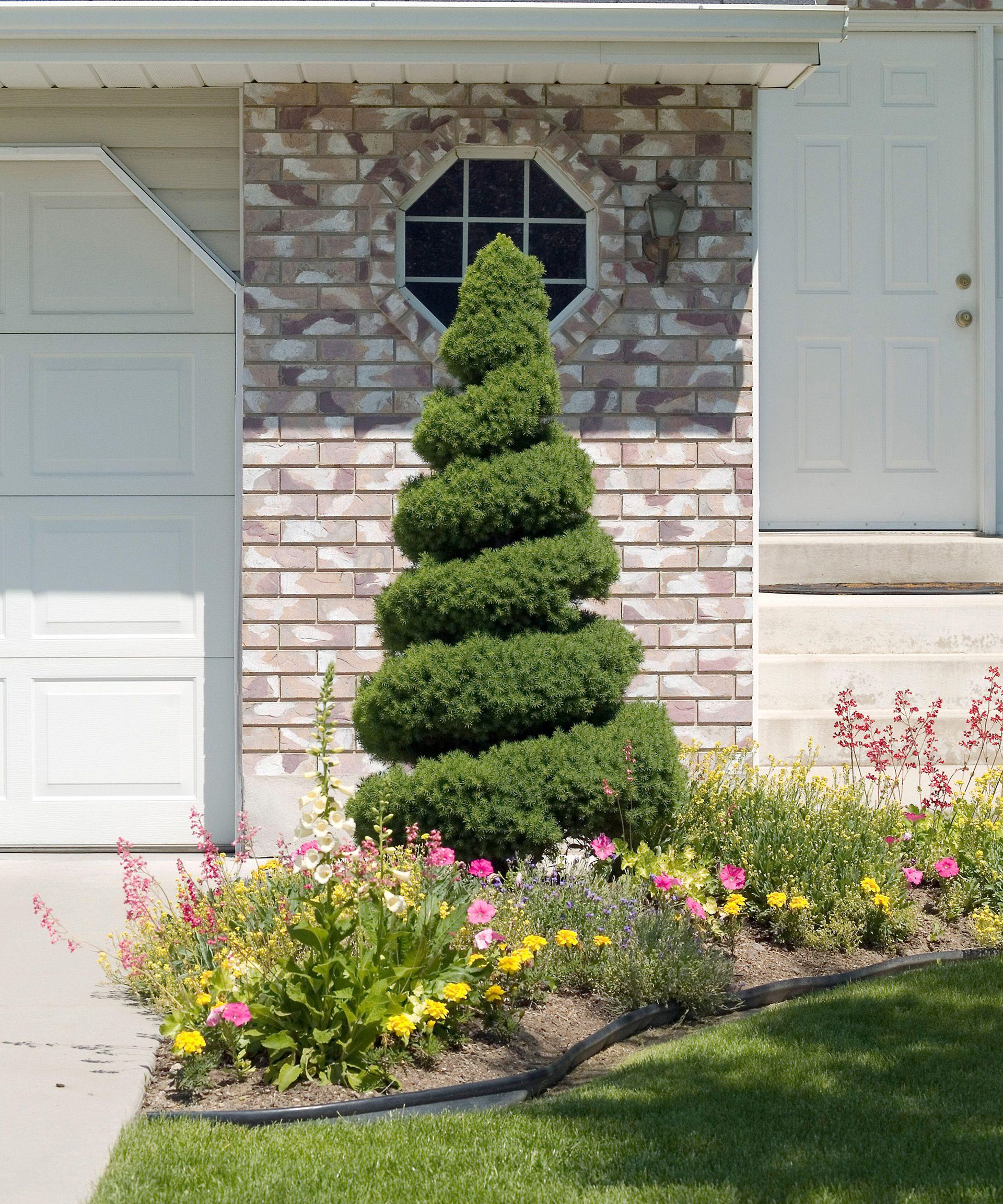 Topiary: a practical guide to this must-have garden trend | Gardeningetc