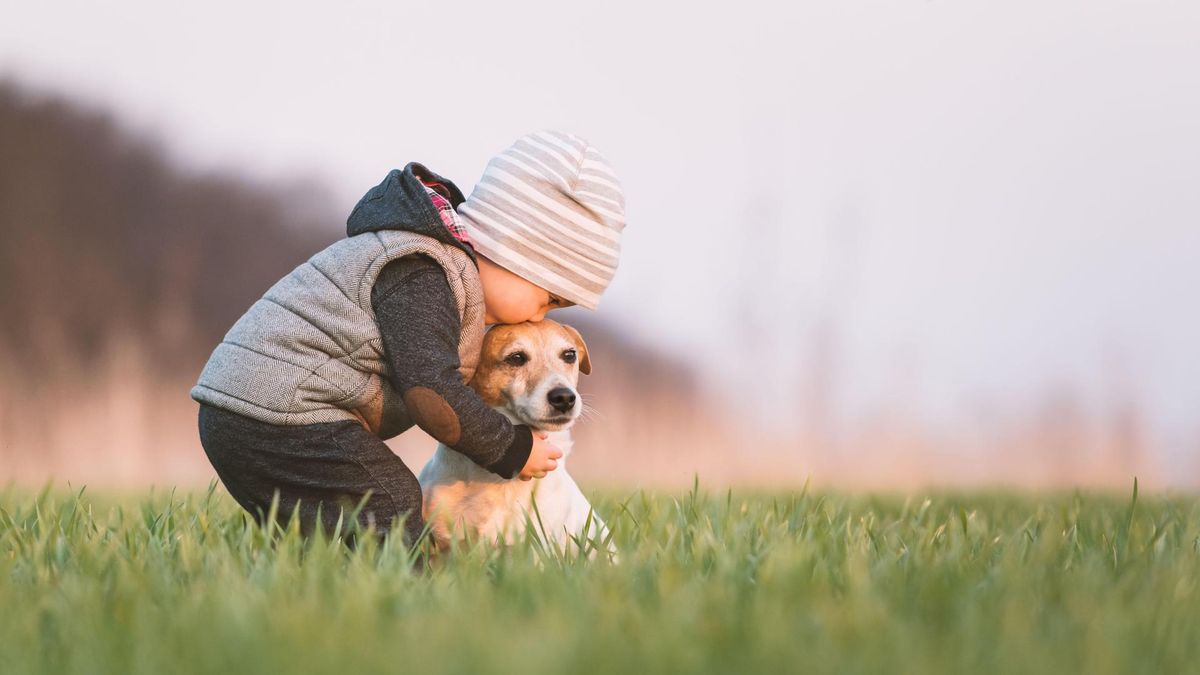 20 most loyal dog breeds revealed | PetsRadar