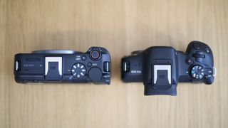 Canon EOS R50 vs R50 V: I'll bet good money that you won't guess which ...