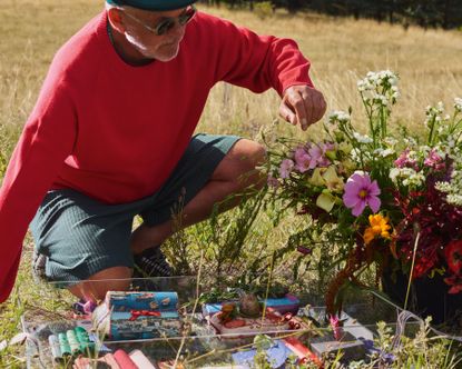 Kvadrat Steelcut by Giulio Ridolfo: a symphony of colours | Wallpaper*