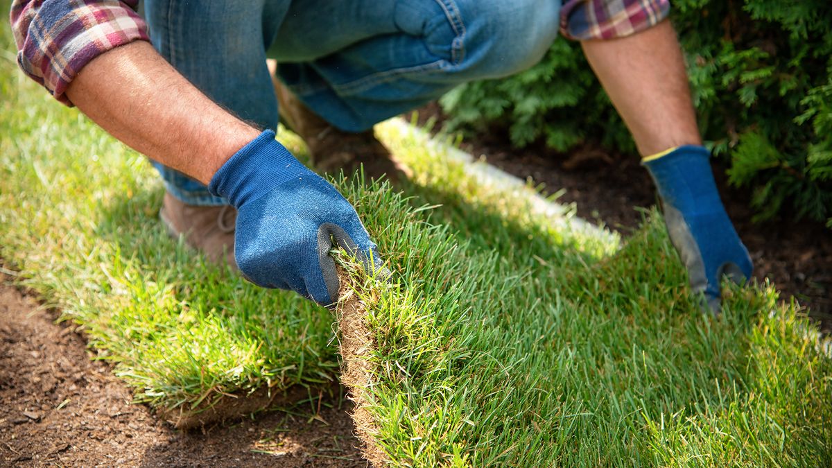 5 easy tips to fix bare patches on your lawn this spring | Tom's Guide