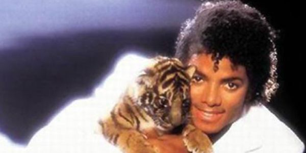 The New Michael Jackson Allegations Are The Creepiest Ones Ever ...