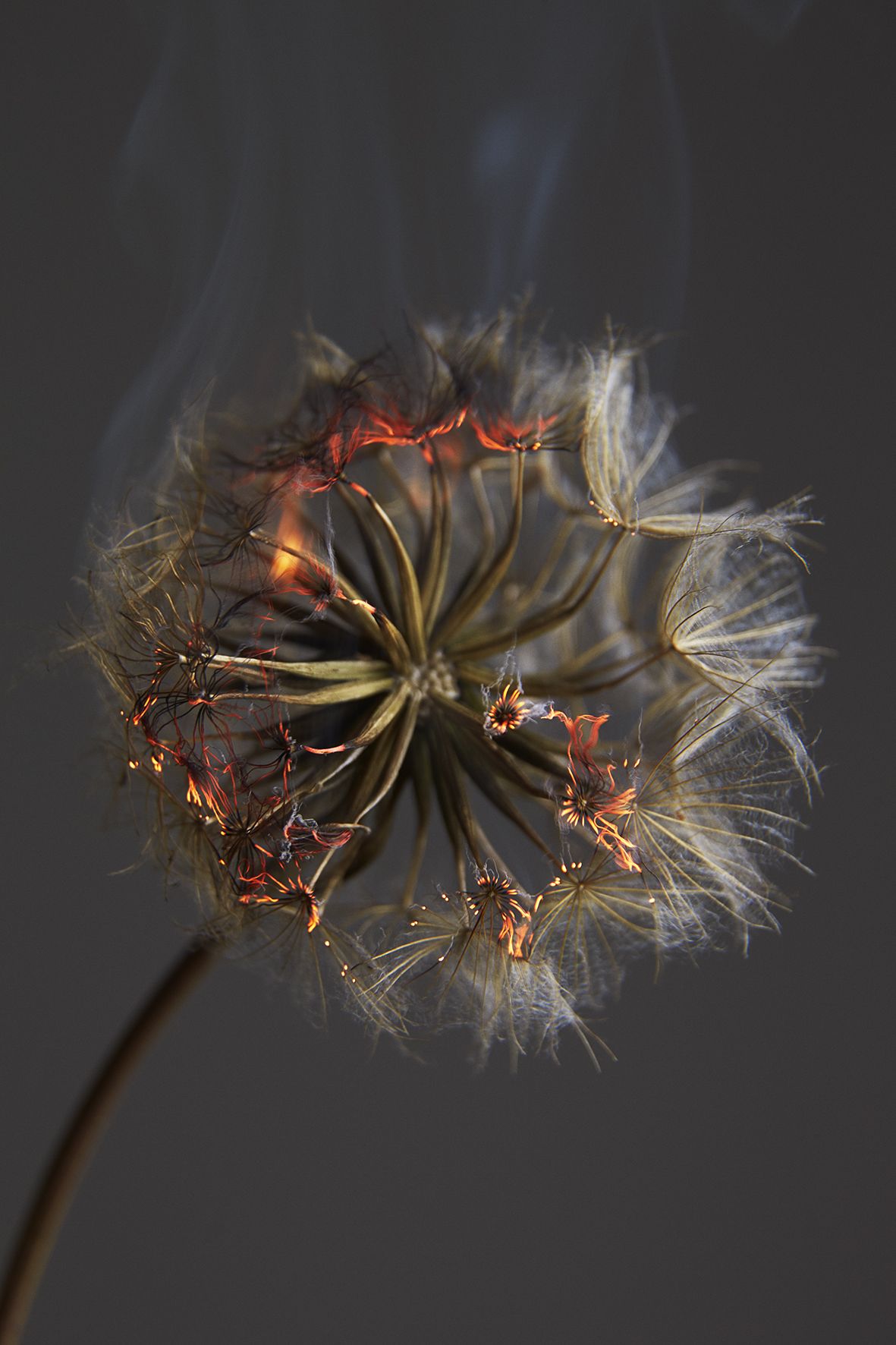 An Exploding World: new photo book by Rankin tackles the aesthetic of ...