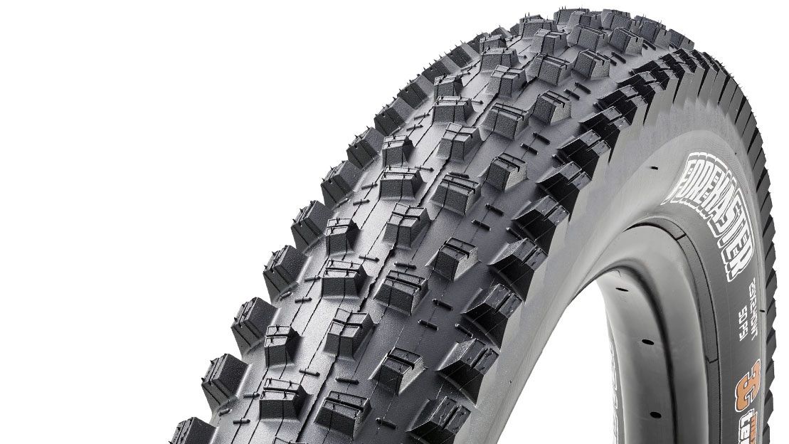 Maxxis MTB tires – a comprehensive range overview | BikePerfect