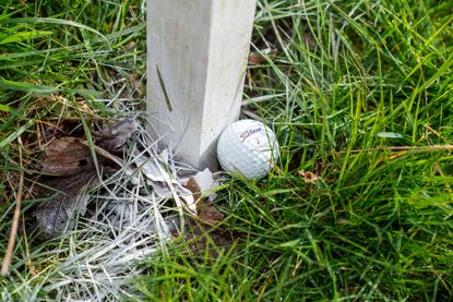 Can You Stand Out Of Bounds To Play A Ball In Bounds? | Golf Monthly