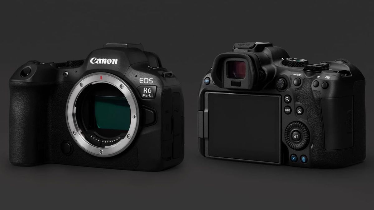 Canon R6 vs R6 Mark II: original EOS R6 or the new EOS R6 II? | Digital ...